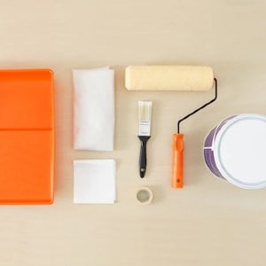 Paint & Paint Accessories – DIY Evolution