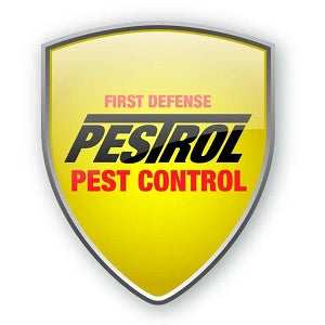 Pestrol – DIY Evolution