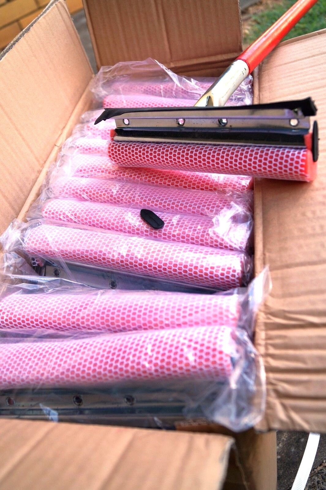 Staghorn Squeegee and Handle - 50 Pieces Box – DIY Evolution